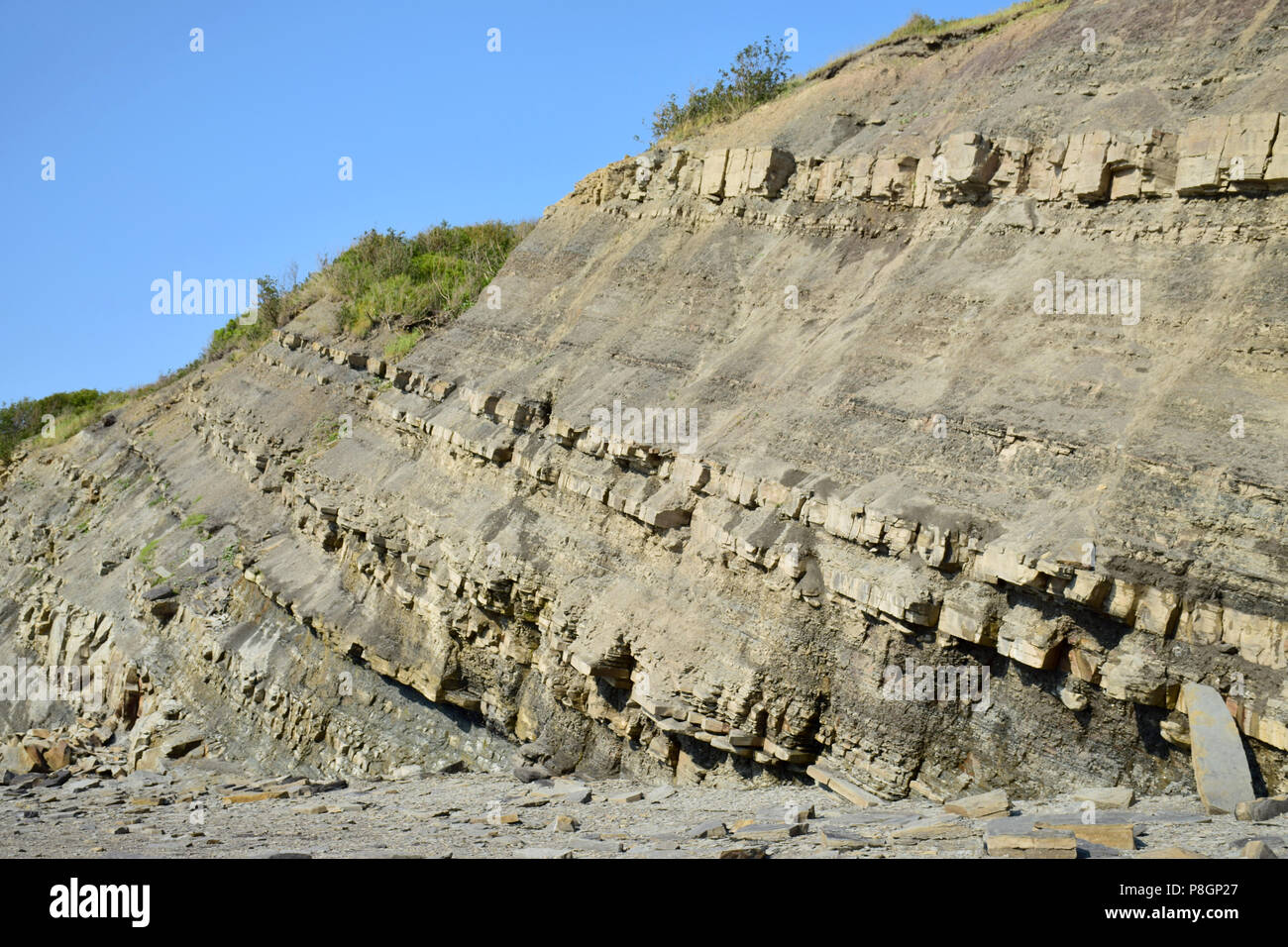 Cliffs fossils hi-res stock photography and images - Alamy