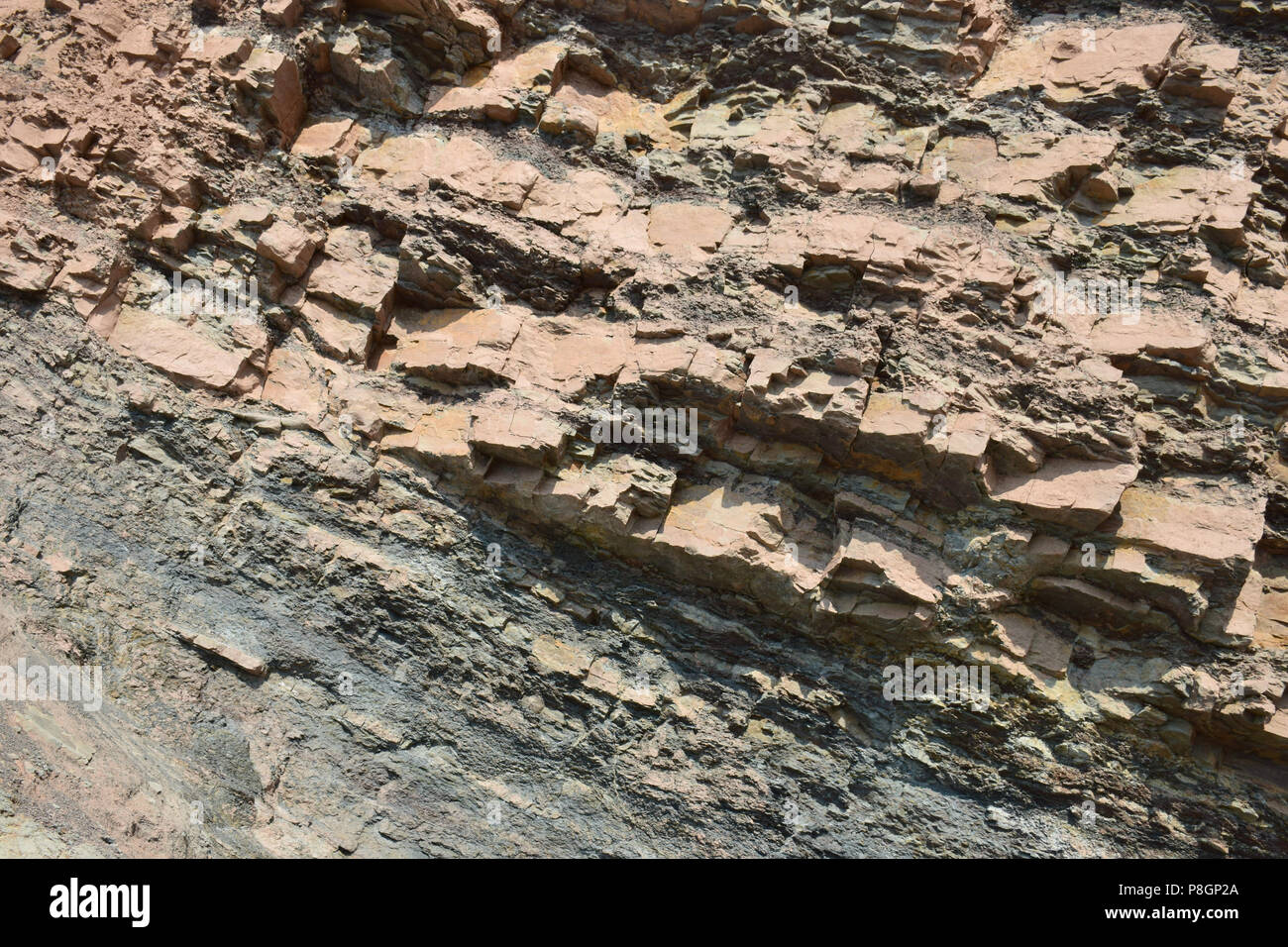 Joggins Fossil Cliffs on the Bay of Fundy in Nova Scotia, Canada’s 15th ...