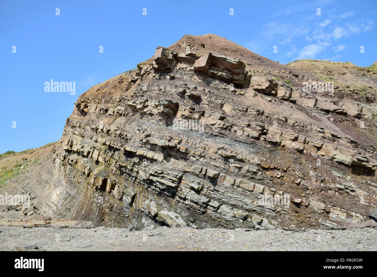 Joggins Fossil Cliffs on the Bay of Fundy in Nova Scotia, Canada’s 15th ...