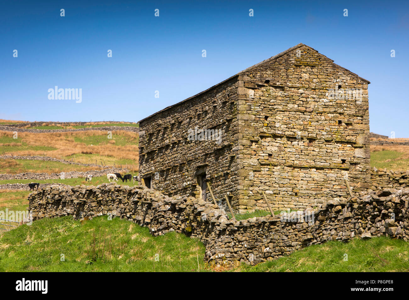 Cow house hi-res stock photography and images - Alamy