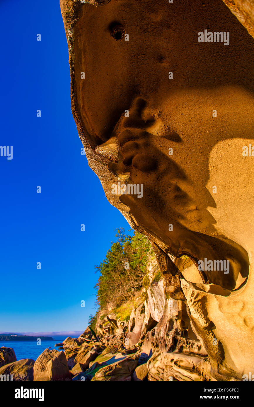 Jack pine point hi-res stock photography and images - Alamy