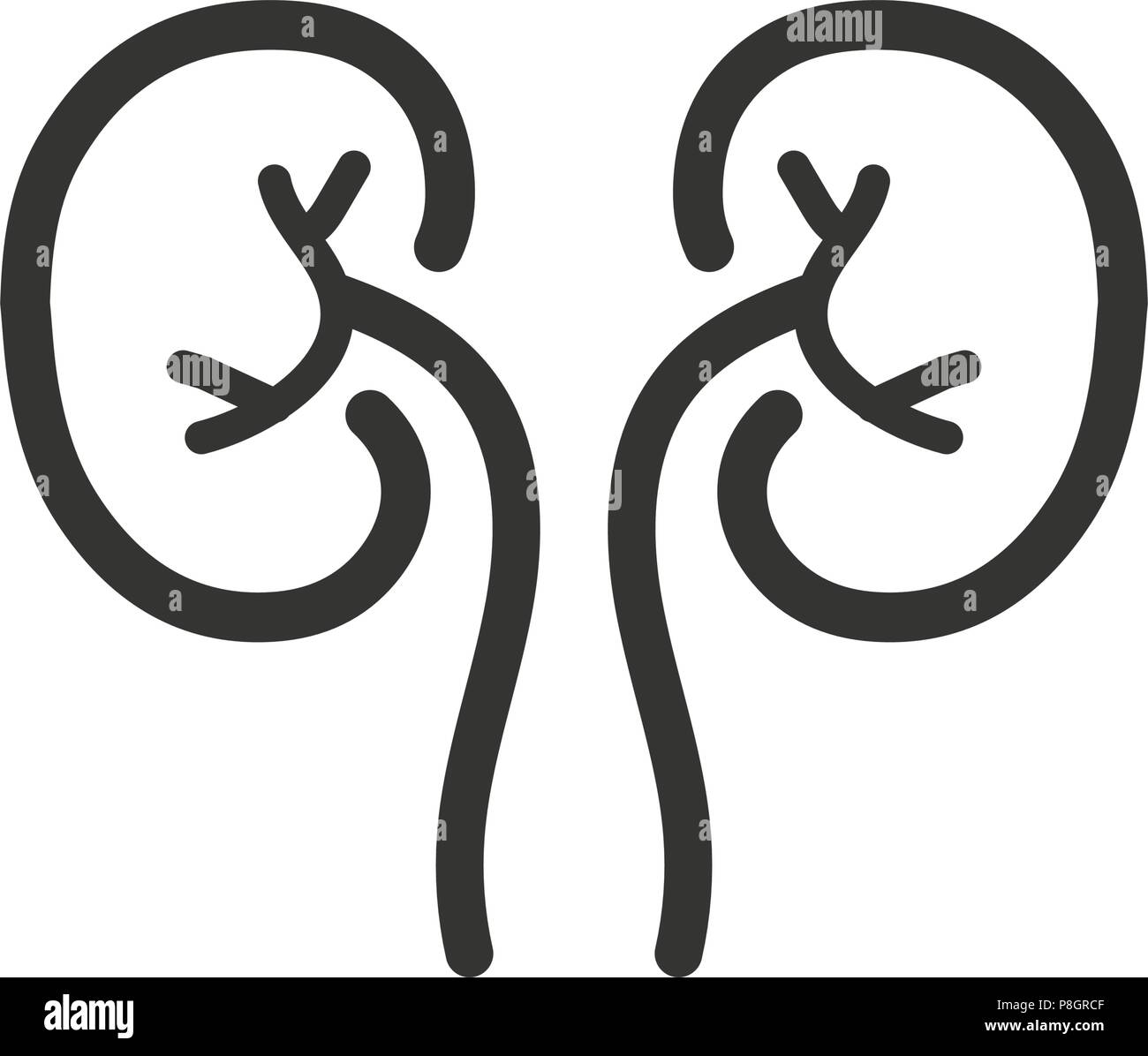 Kidneys icon Cut Out Stock Images & Pictures - Alamy