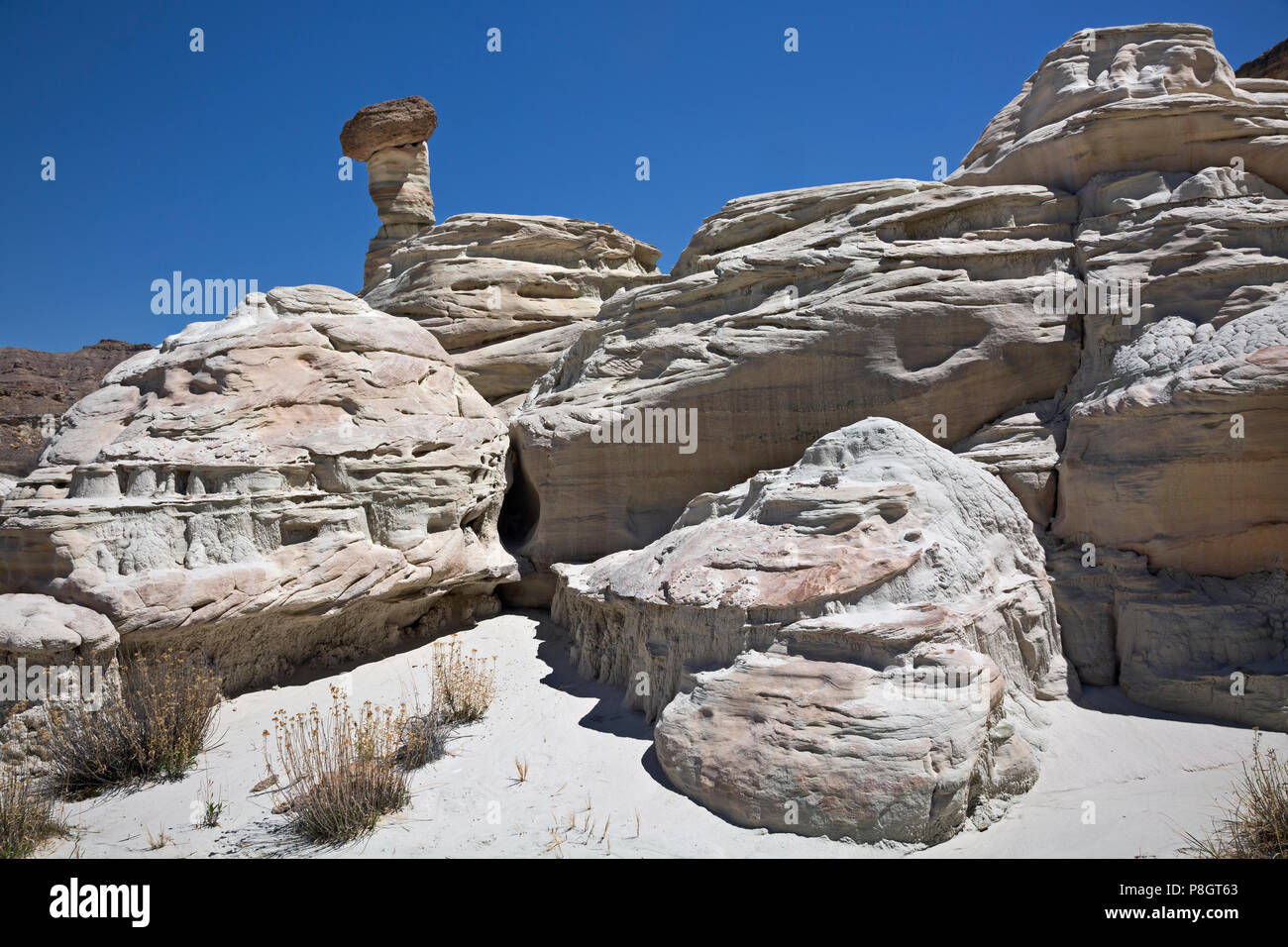 UT00415-00...UTAH - White rock at the beautiful Wahweap Hoodos in the ...
