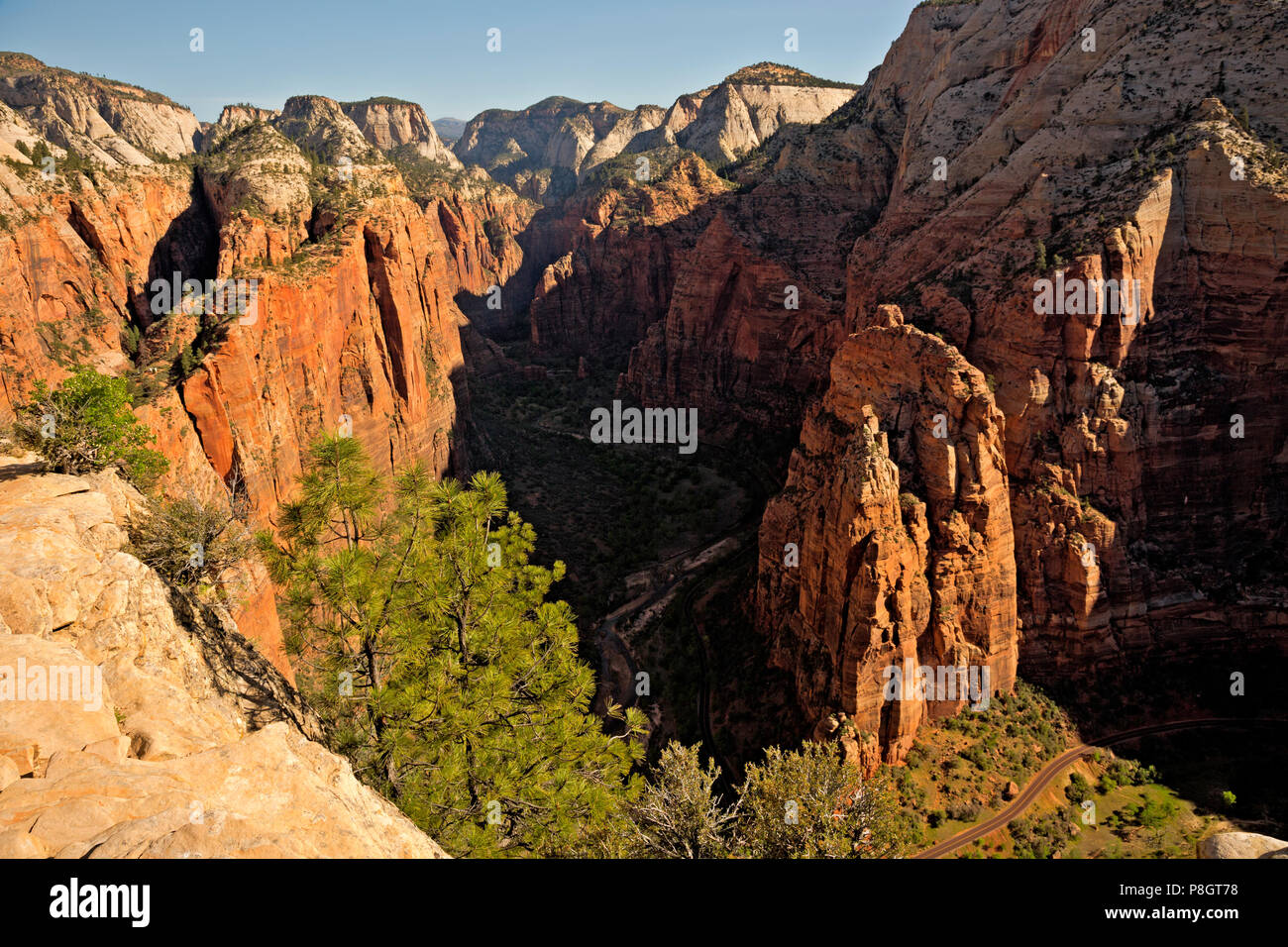 UT00439-00...UTAH - Early morning view of the Temple of Sinawava and ...