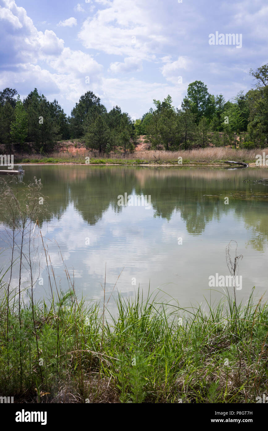 Skinny dipping hi-res stock photography and images - Alamy