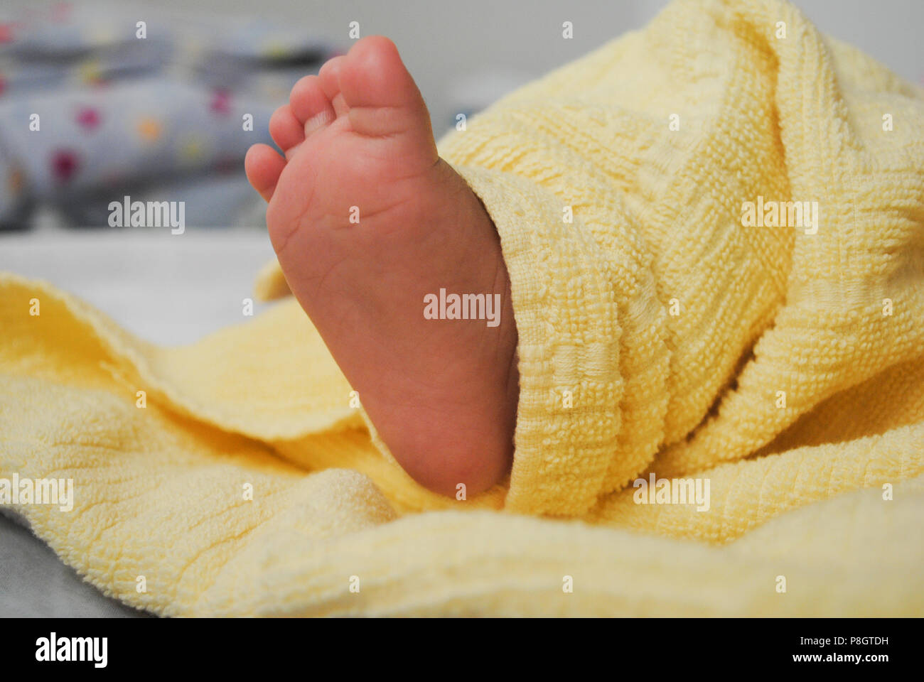 Tender baby toes hi-res stock photography and images - Alamy
