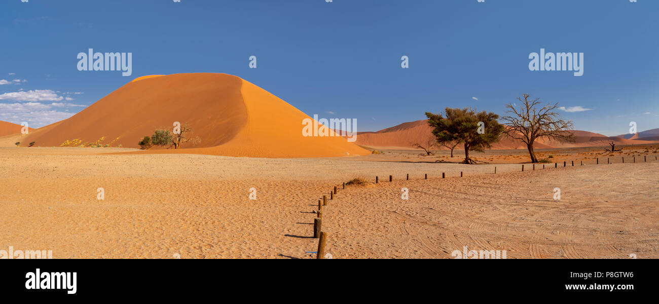 Dune 45 in Sossusvlei, Namibia desert with dead acacia tree. Namibia ...
