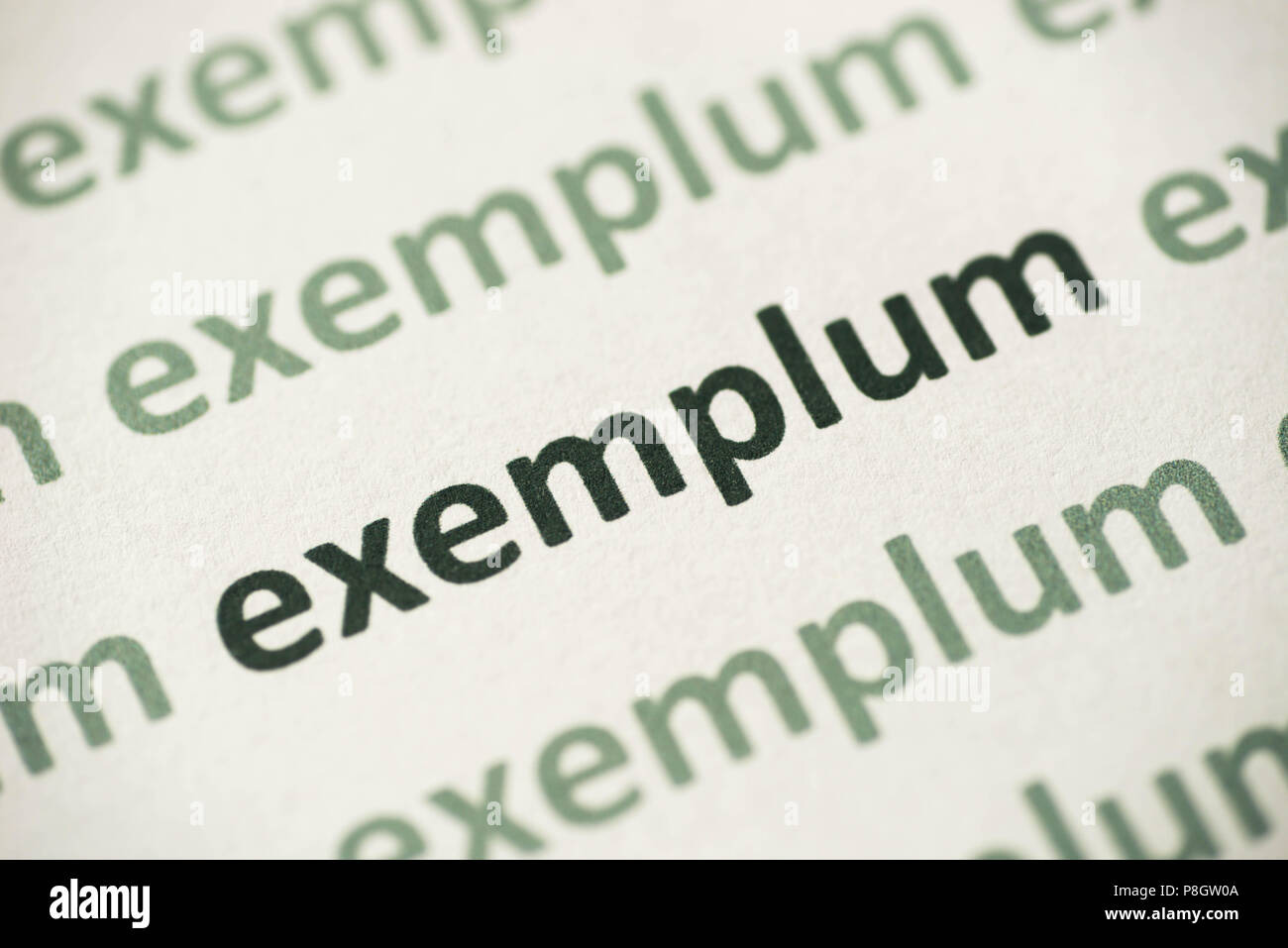 word exemplum printed on white paper macro Stock Photo - Alamy