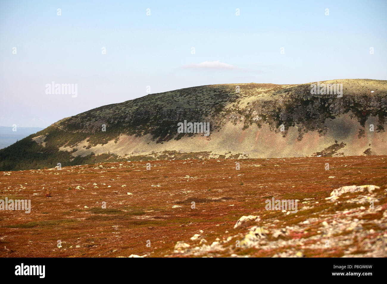 Paltry hi-res stock photography and images - Alamy