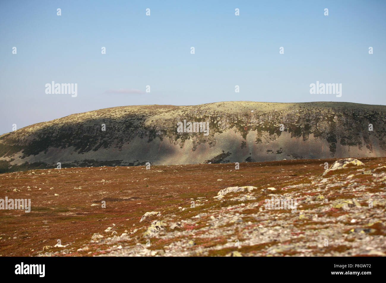 Paltry hi-res stock photography and images - Alamy