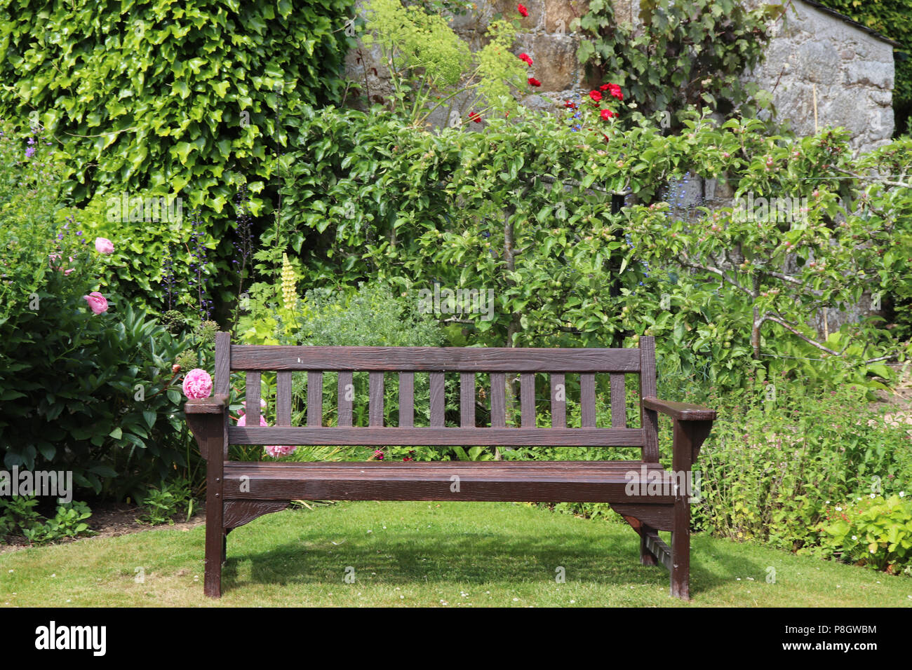 Colorful flowers growing outside in sumer Stock Photo - Alamy