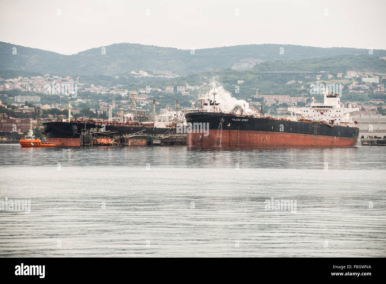 Dilong spirit hi-res stock photography and images - Alamy