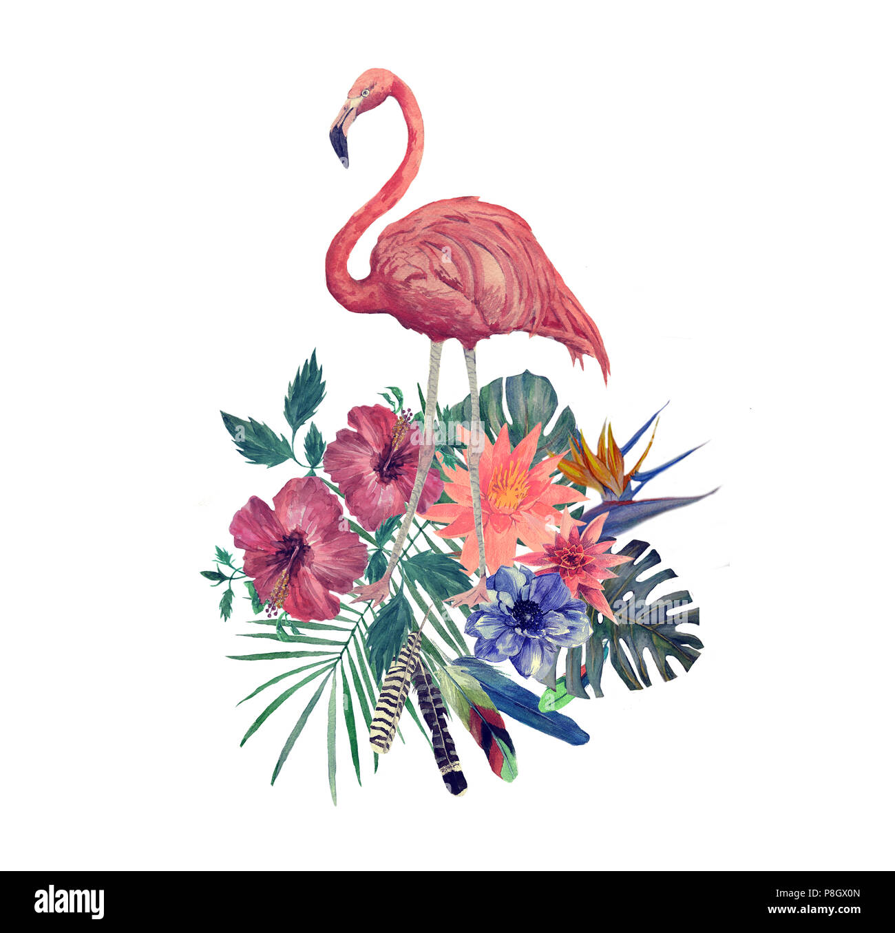 Watercolor illustration of flamingo with leaves, flowers Stock Photo ...