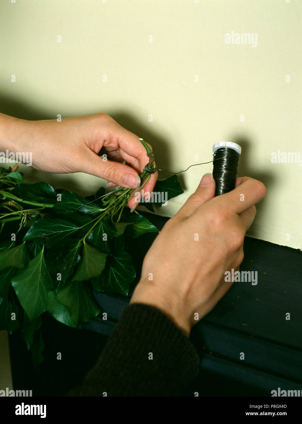 Wiring ivy hi-res stock photography and images - Alamy