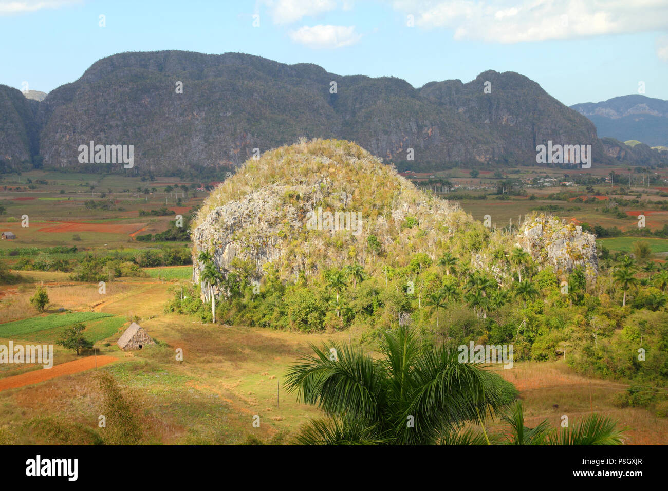 Cuba - famous mogotes karstic landscape in Vinales National Park ...