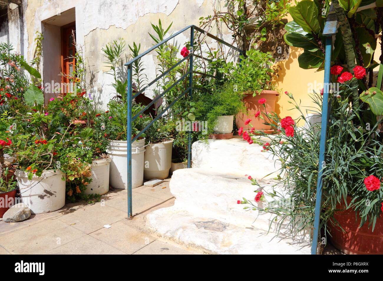 Chania, town on Crete island in Greece. Flowers in old town of ...