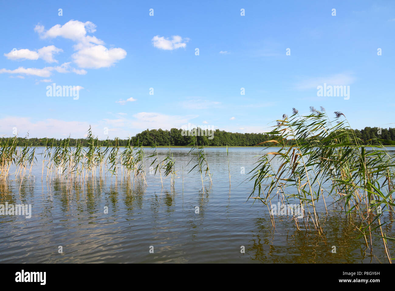 Masuria (Mazury) - famous lake district in Poland. Summer landscape in ...