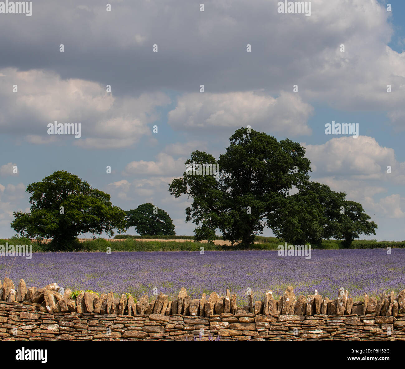 Radstock somerset england hi-res stock photography and images - Alamy