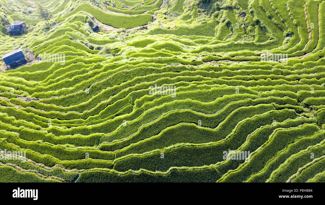 Congjian, Congjian, China. 12th July, 2018. Congjiang, CHINA-Aerial ...