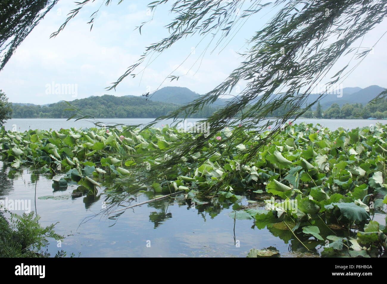 July 12, 2018 - Hangzh, Hangzh, China - Hangzhou, CHINA-The West Lake ...