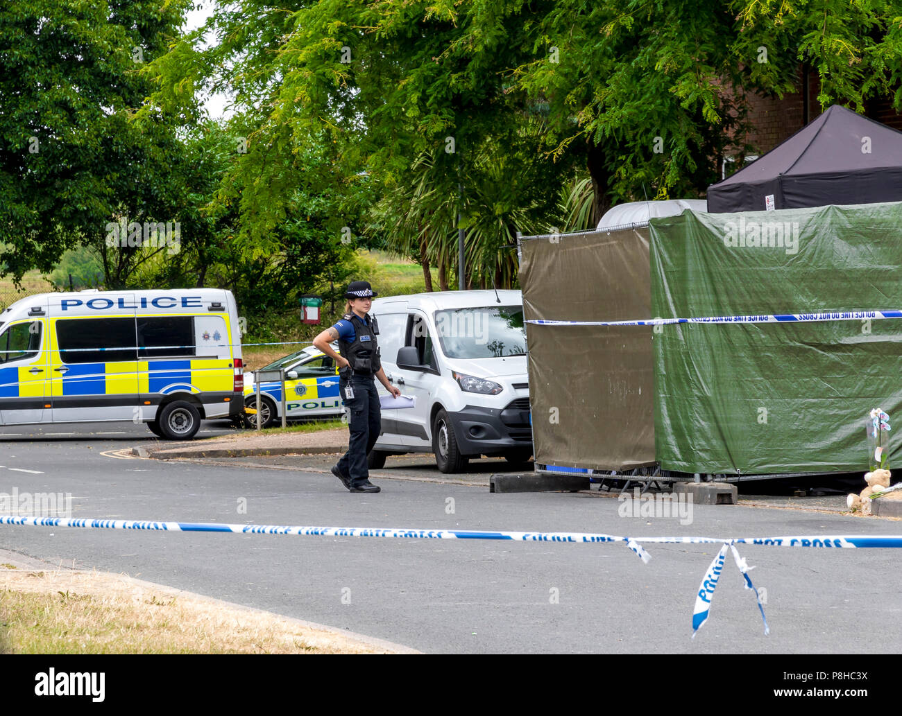 Gina ingles hi-res stock photography and images - Alamy