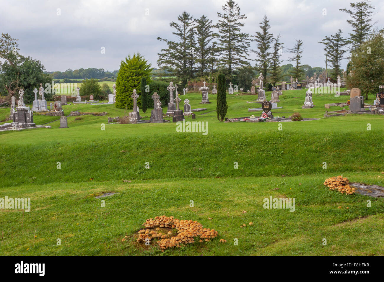 Ballintubber Abbey and Cemetery in County Mayo, Ireland. Mass has been ...
