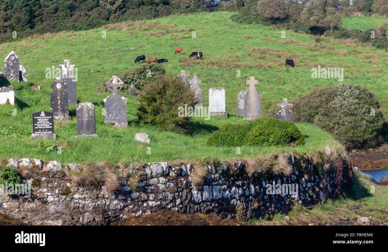 Burrishoole friary ruins hi-res stock photography and images - Alamy