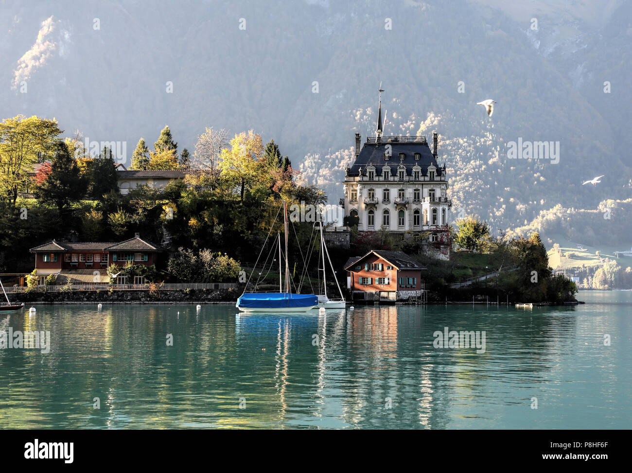 Brienzersee lake view, Switzerland Stock Photo - Alamy