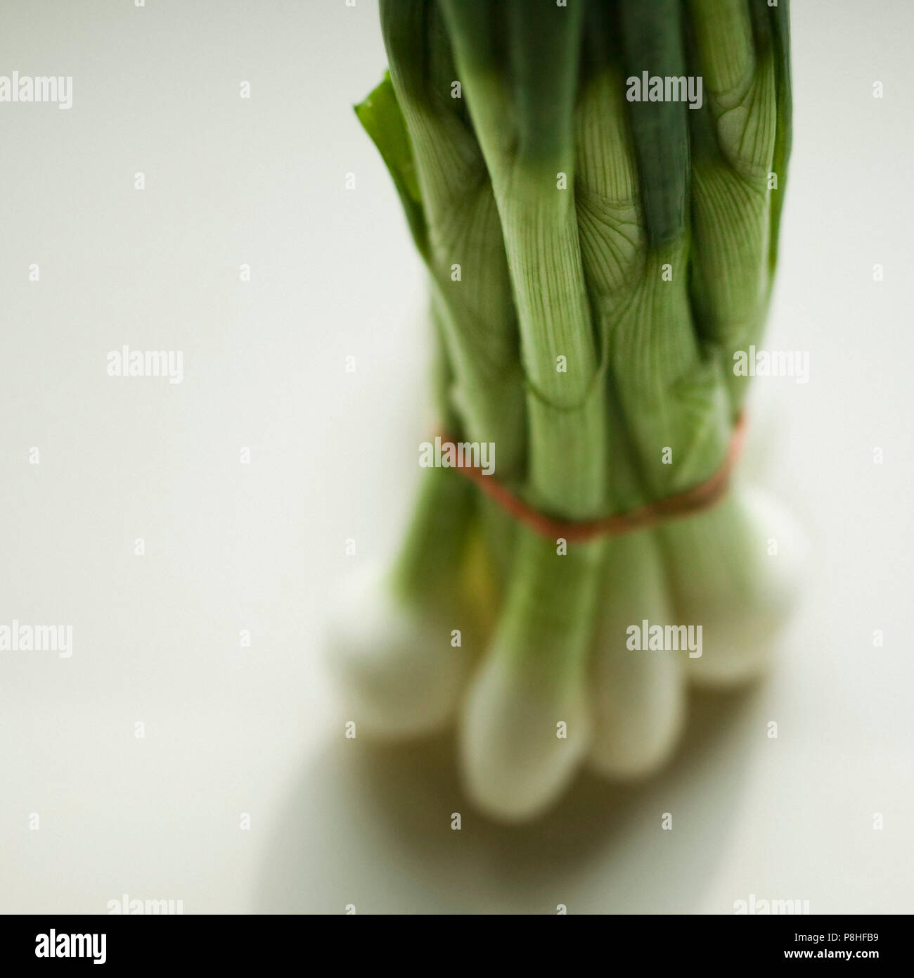 Bunch of scallions hi-res stock photography and images - Alamy