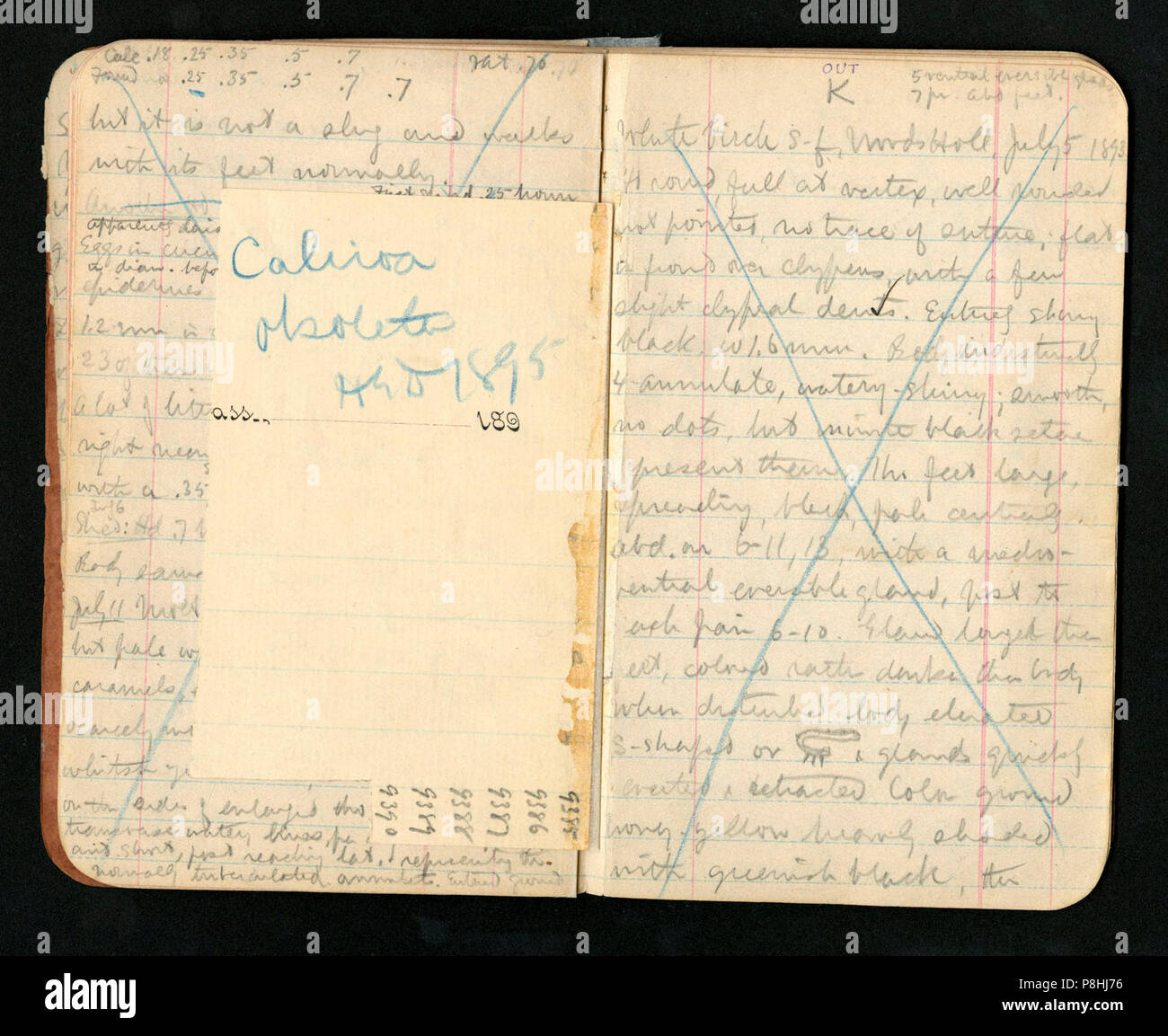 A - O (Pages (22 and 23)) BHL46232605 Stock Photo - Alamy