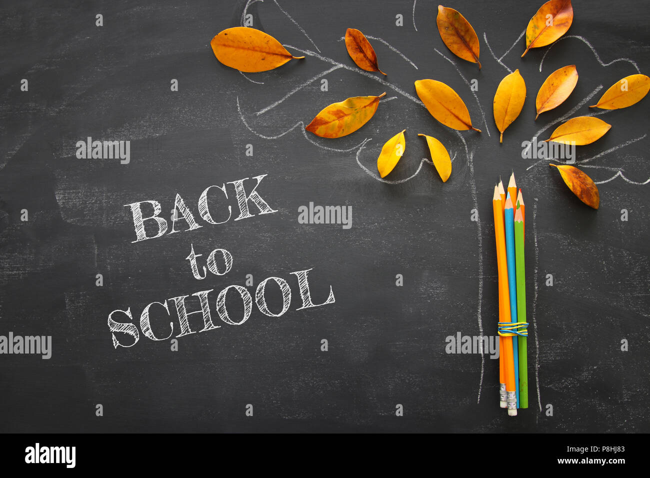Back to school concept. Top view image of pencils next to tree sketch ...