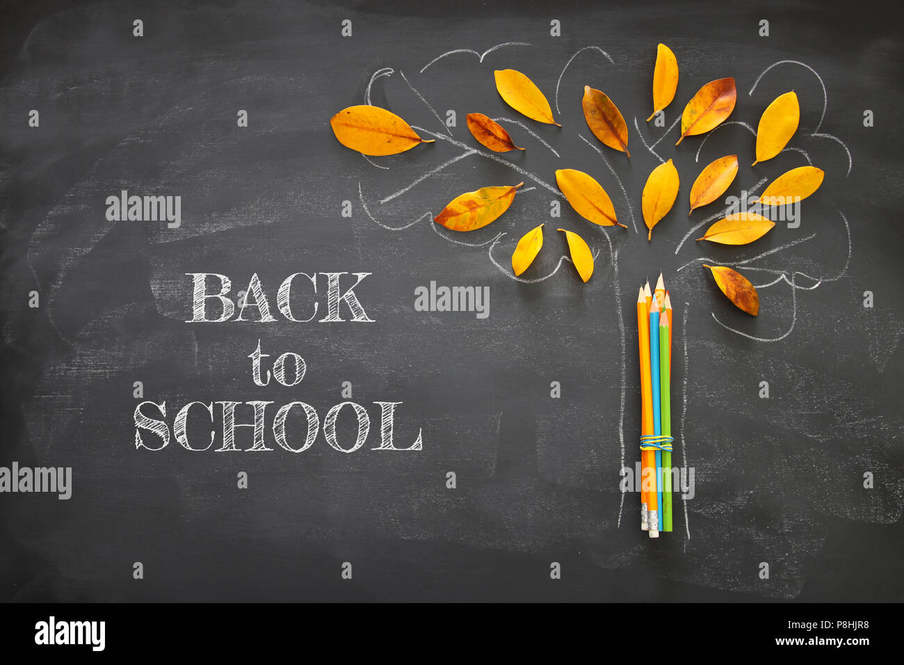 Back to school concept. Top view image of pencils next to tree sketch ...