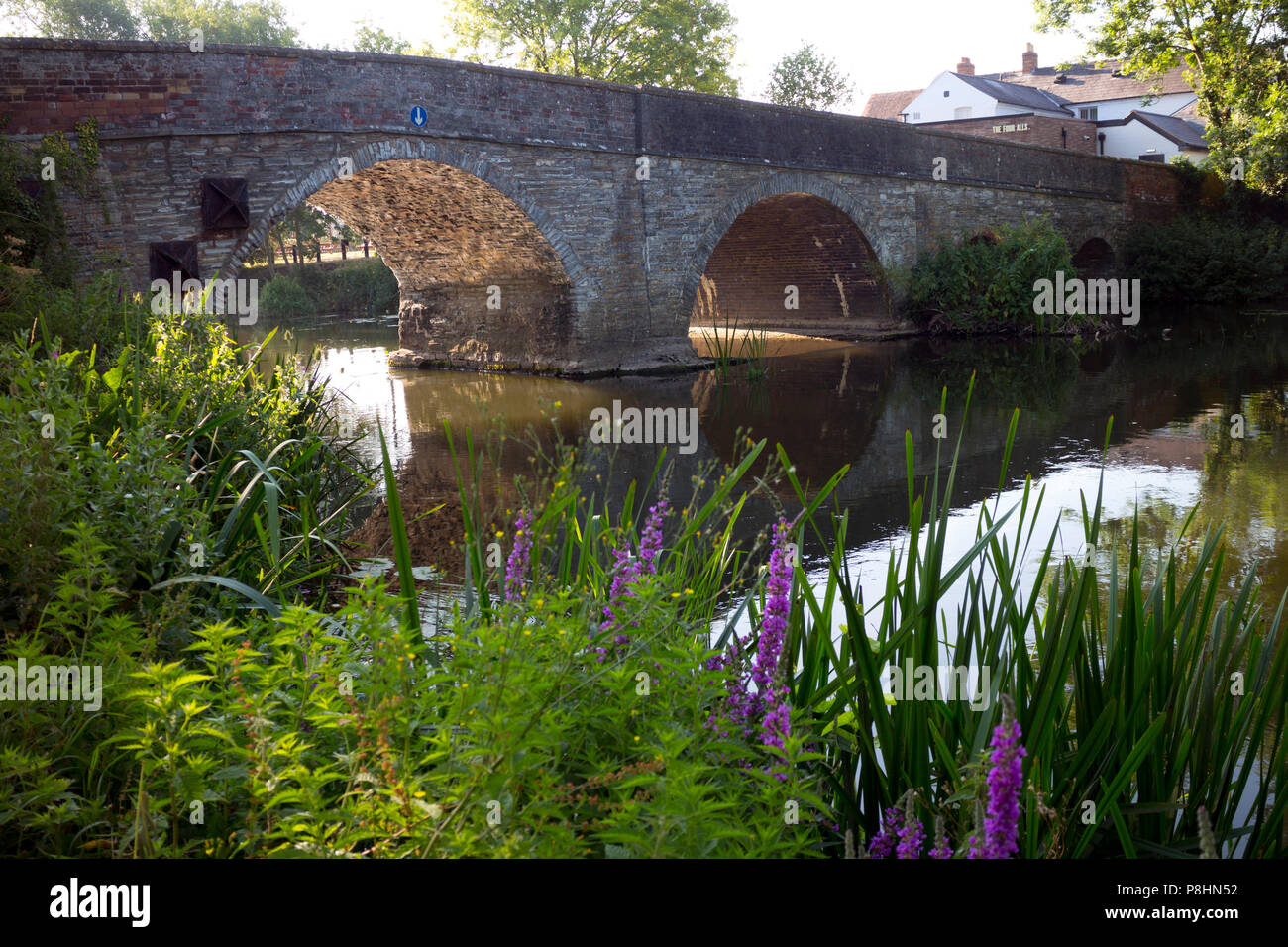 River Avon and bridge, early morning, Welford-on-Avon, Warwickshire ...