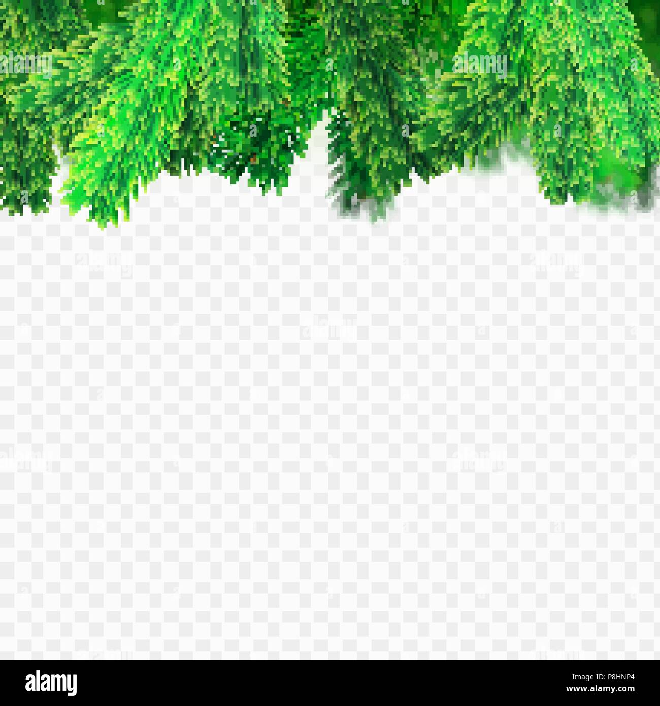 Old spruce Stock Vector Images - Alamy