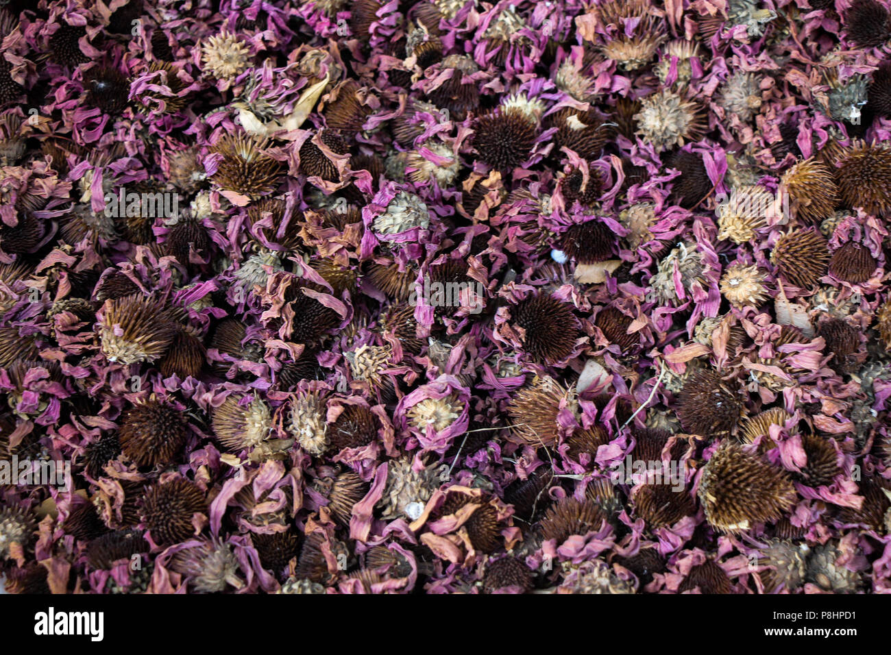 Dry herbal plants as food and remedy Stock Photo - Alamy