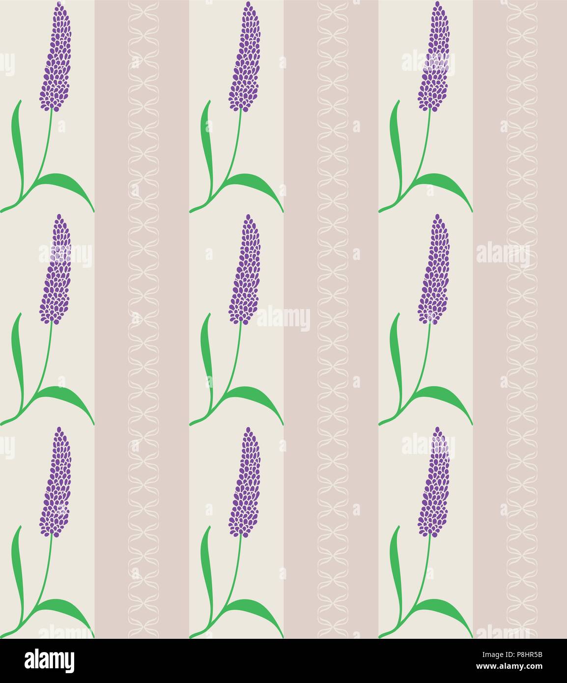 Seamless vector lavender pattern isolated on white background Stock ...