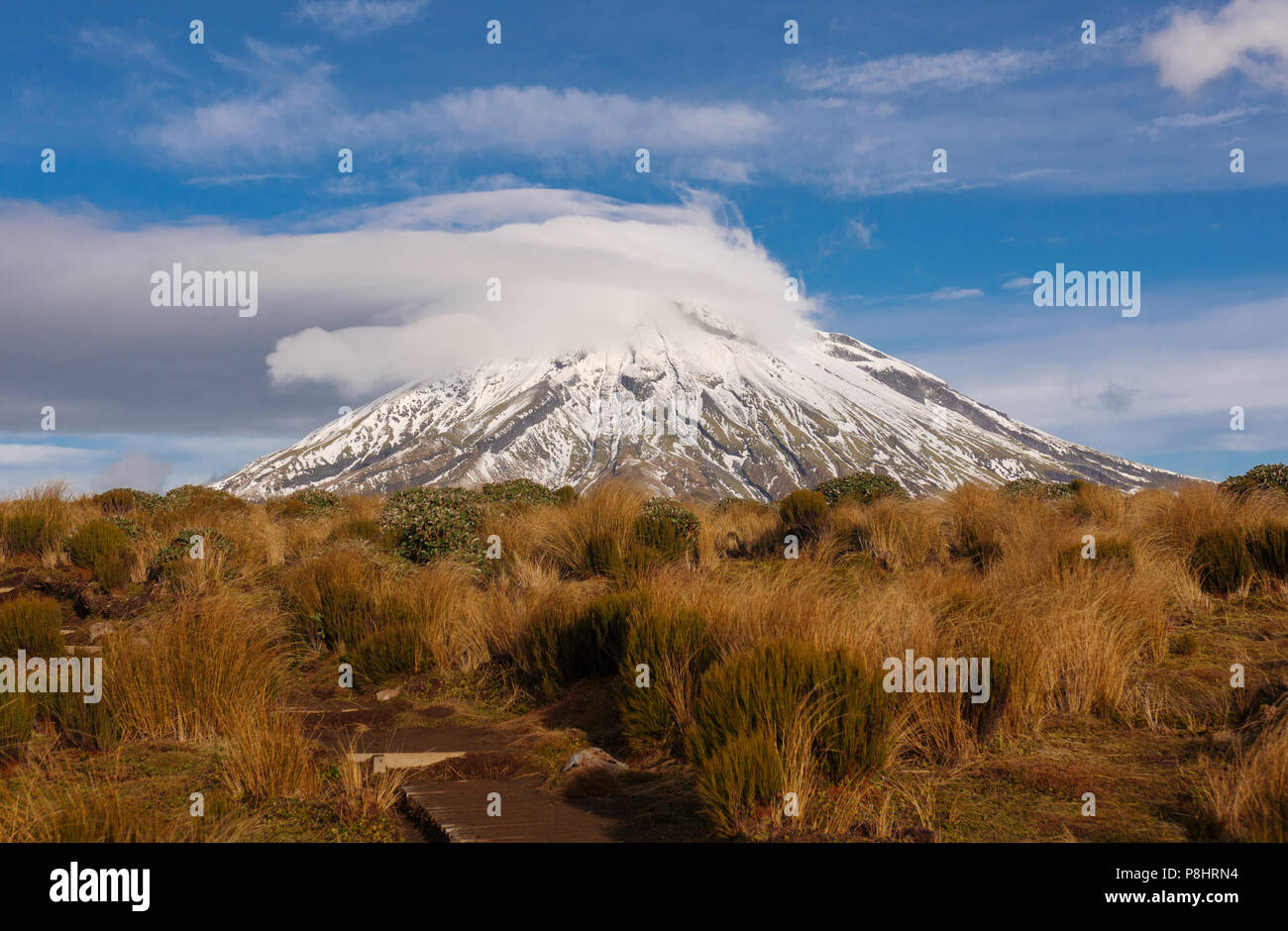 Mount Taranaki details, Mount. Egmont National Park, New Zealand Stock ...