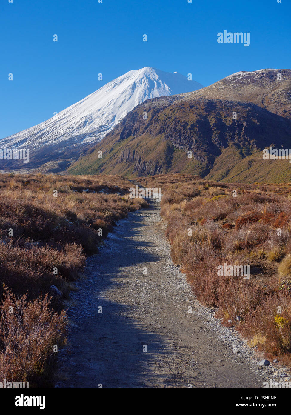 Mount Taranaki, Mount. Egmont National Park, New Zealand Stock Photo ...