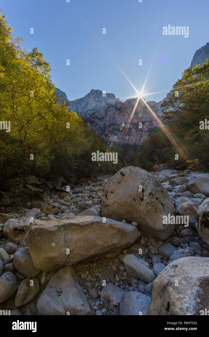 Trees and rocks hi-res stock photography and images - Alamy