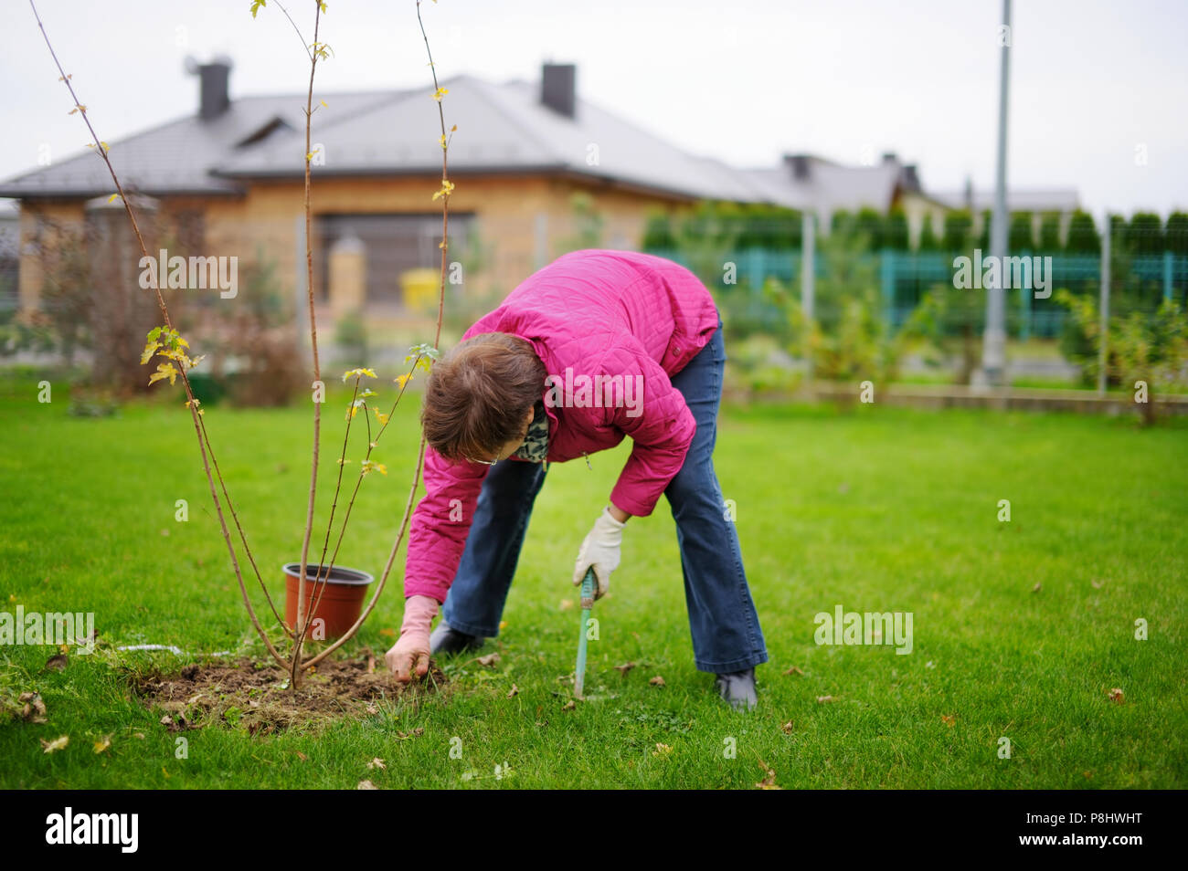 Woman planting a tree hi-res stock photography and images - Alamy