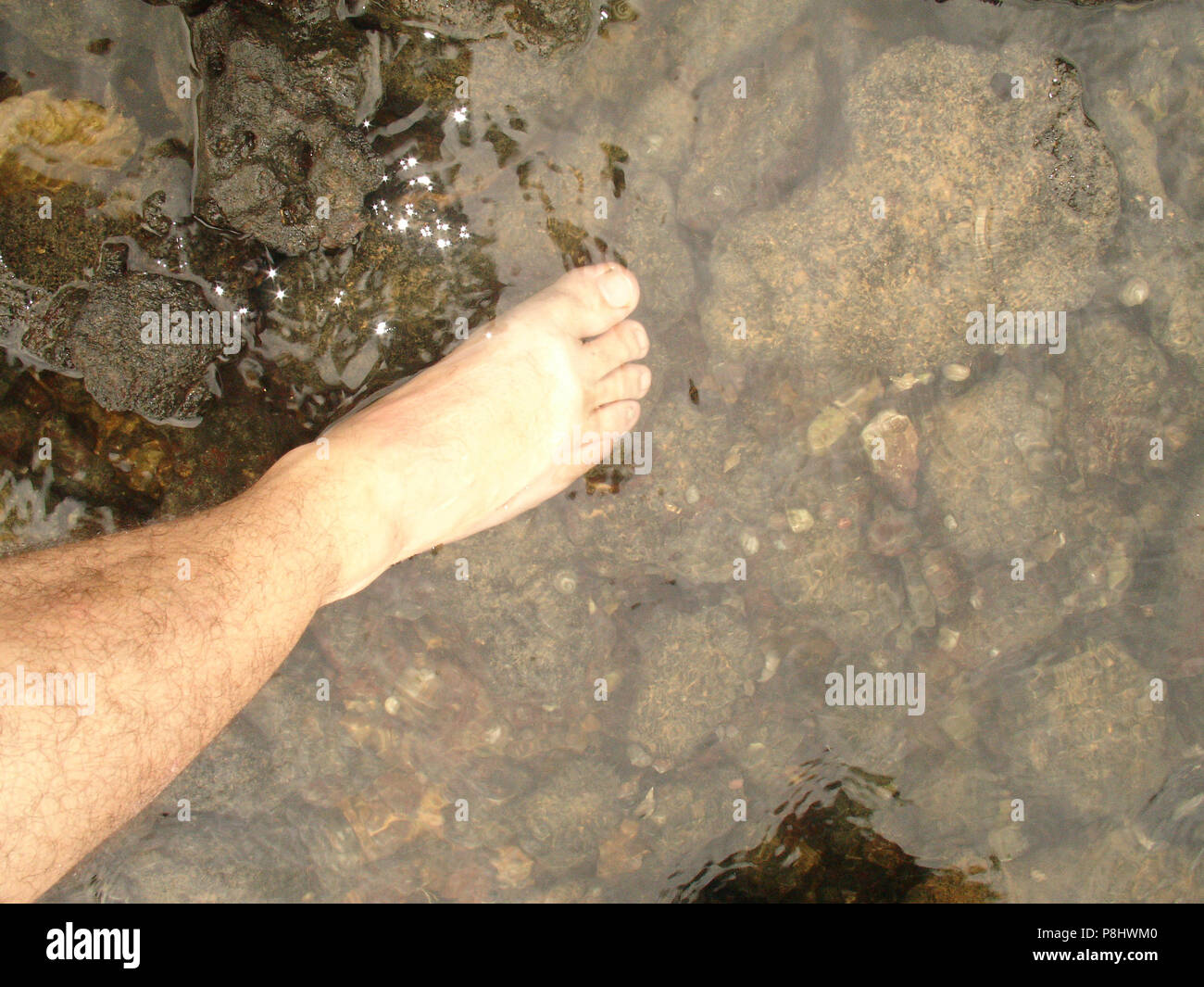 Snails leg hi-res stock photography and images - Alamy