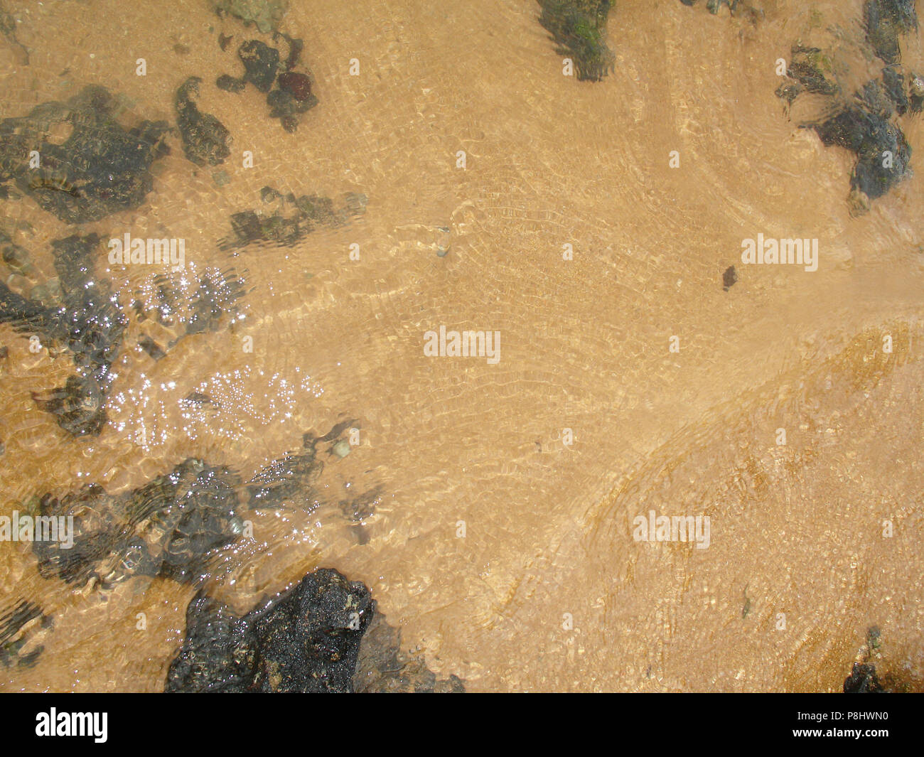 Agae, background, Linhares, Espírito Santo, Brazil Stock Photo - Alamy