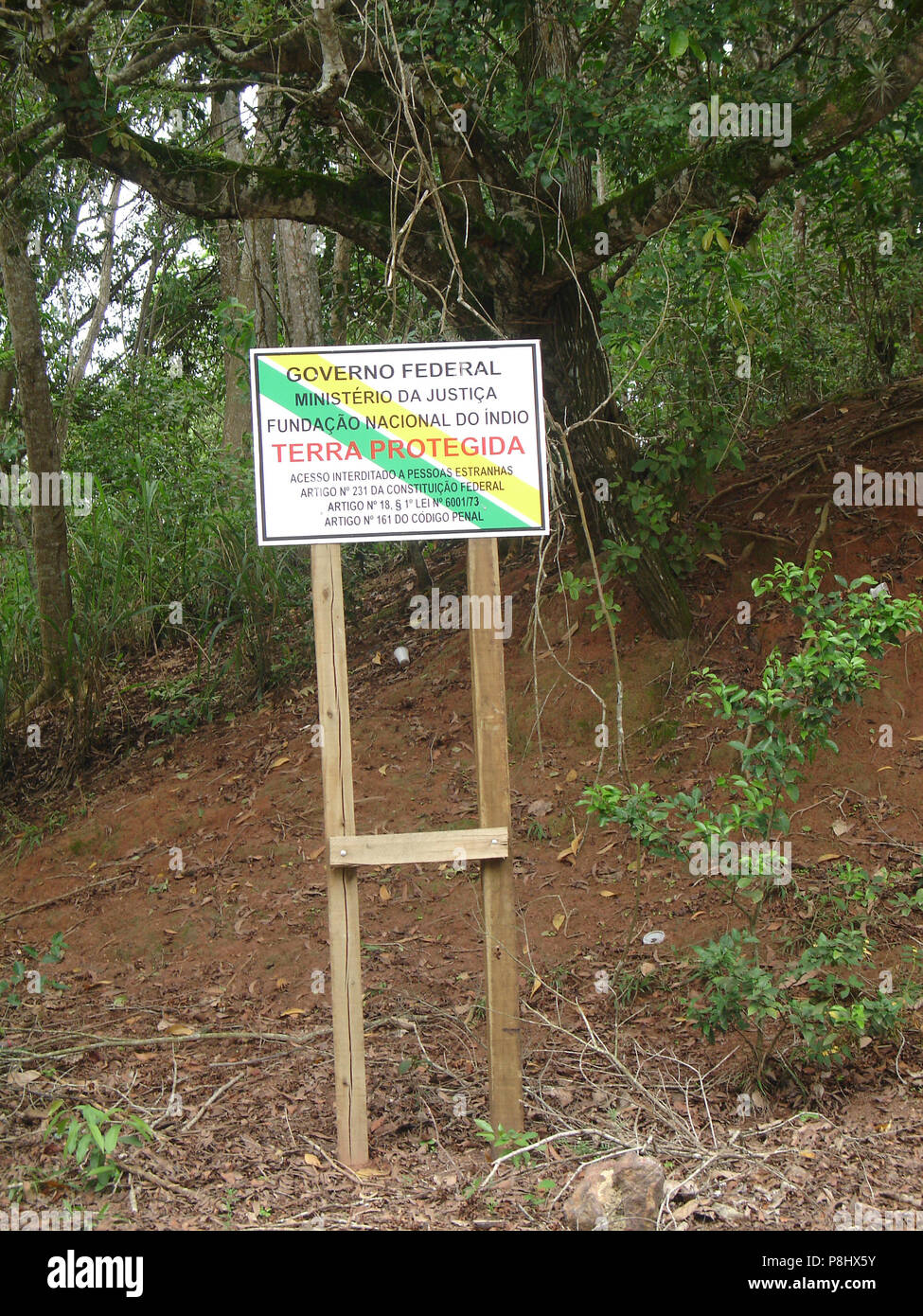 Gully root plate hi-res stock photography and images - Alamy