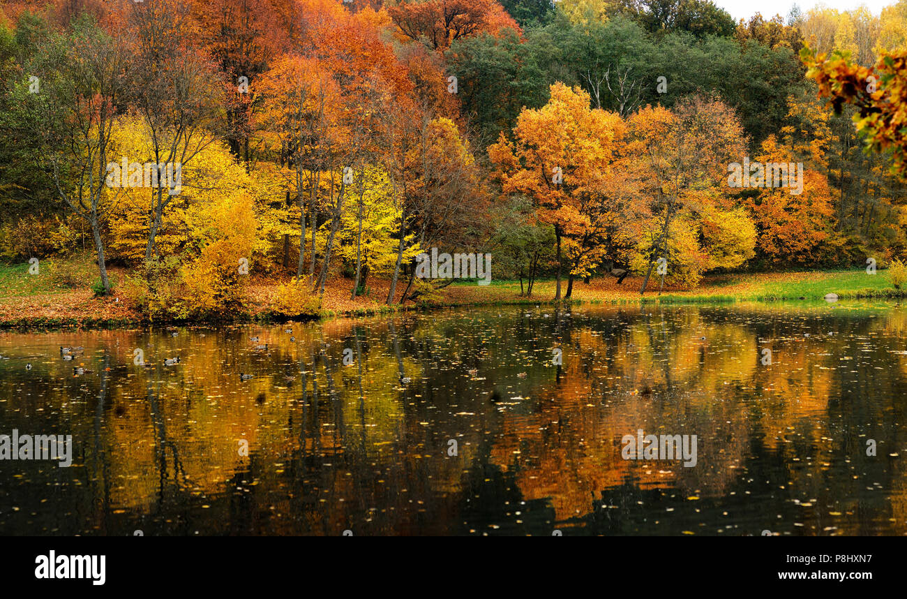 Idyllic autumn scenery in Lithuania Stock Photo - Alamy
