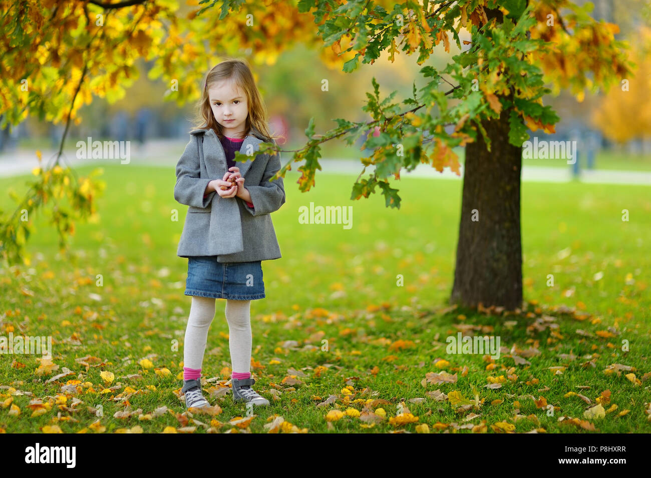 Little girl gathering acorns for crafting and playing Stock Photo - Alamy