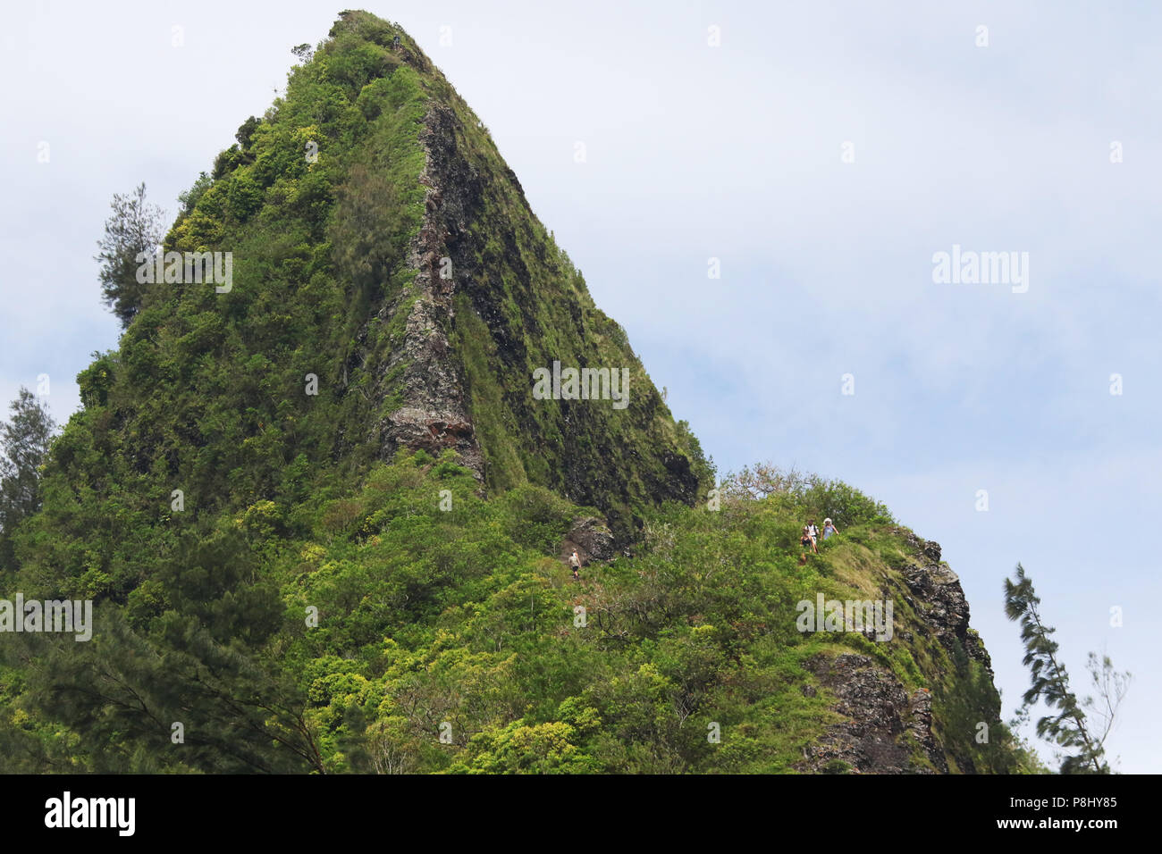 Koolau summit trail hi-res stock photography and images - Alamy
