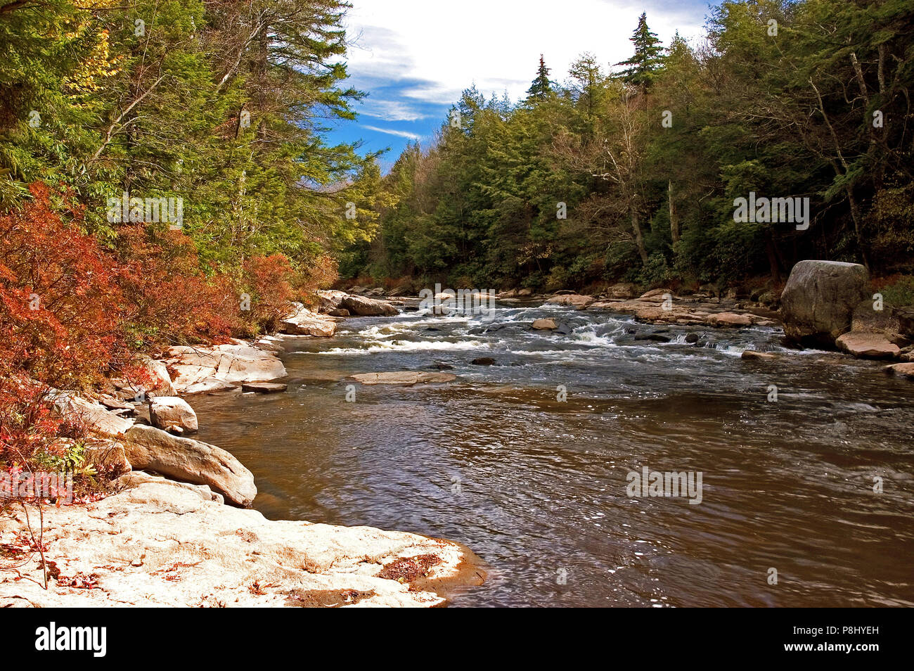 Beautiful blue skies and autumn colors along the Blackwater river in ...