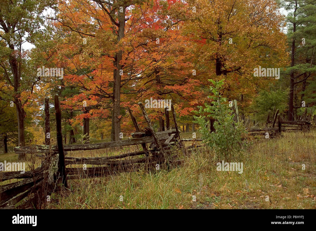 An old rustic fence in the country with colorful trees in there ...