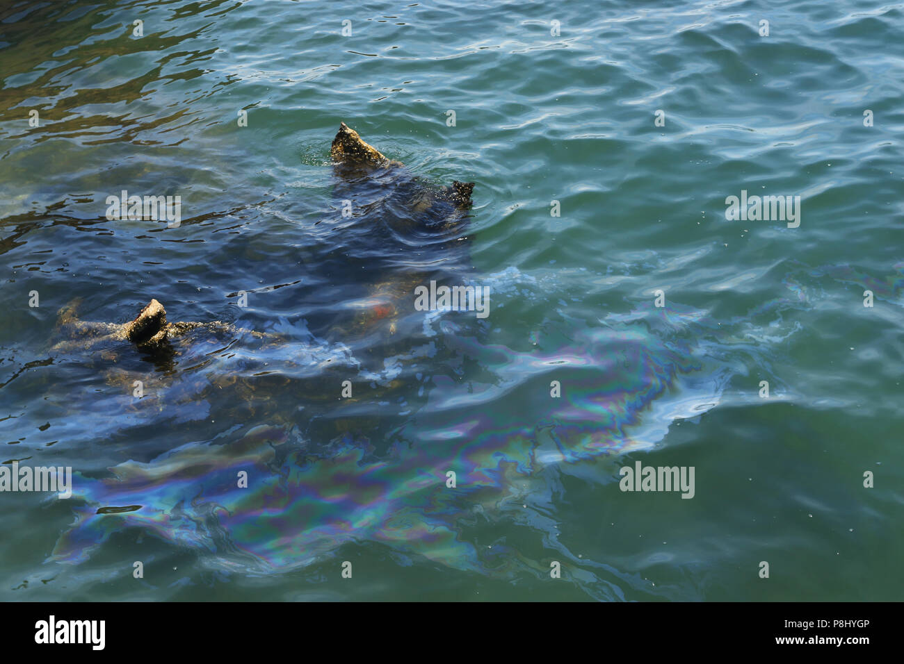 Uss Arizona Memorial Oil