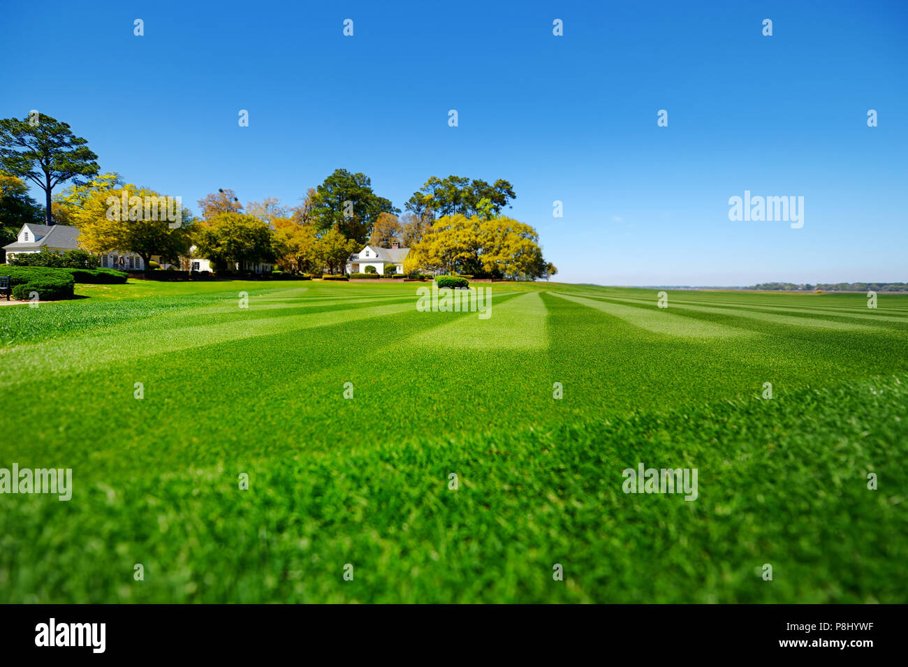 Perfectly striped freshly mowed garden lawn in summer Stock Photo - Alamy